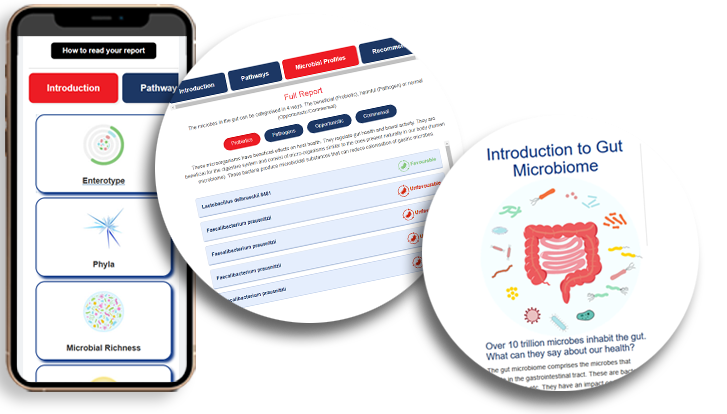 Know My Gut | Empowering the Second Brain